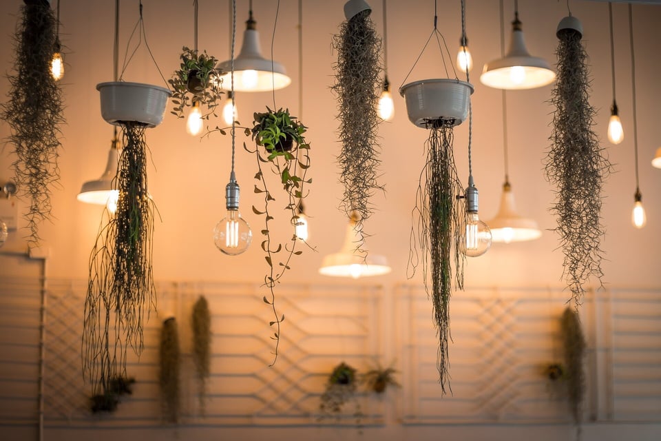 Fluorescent Light Alternatives For Office & Workspace Bulbs
